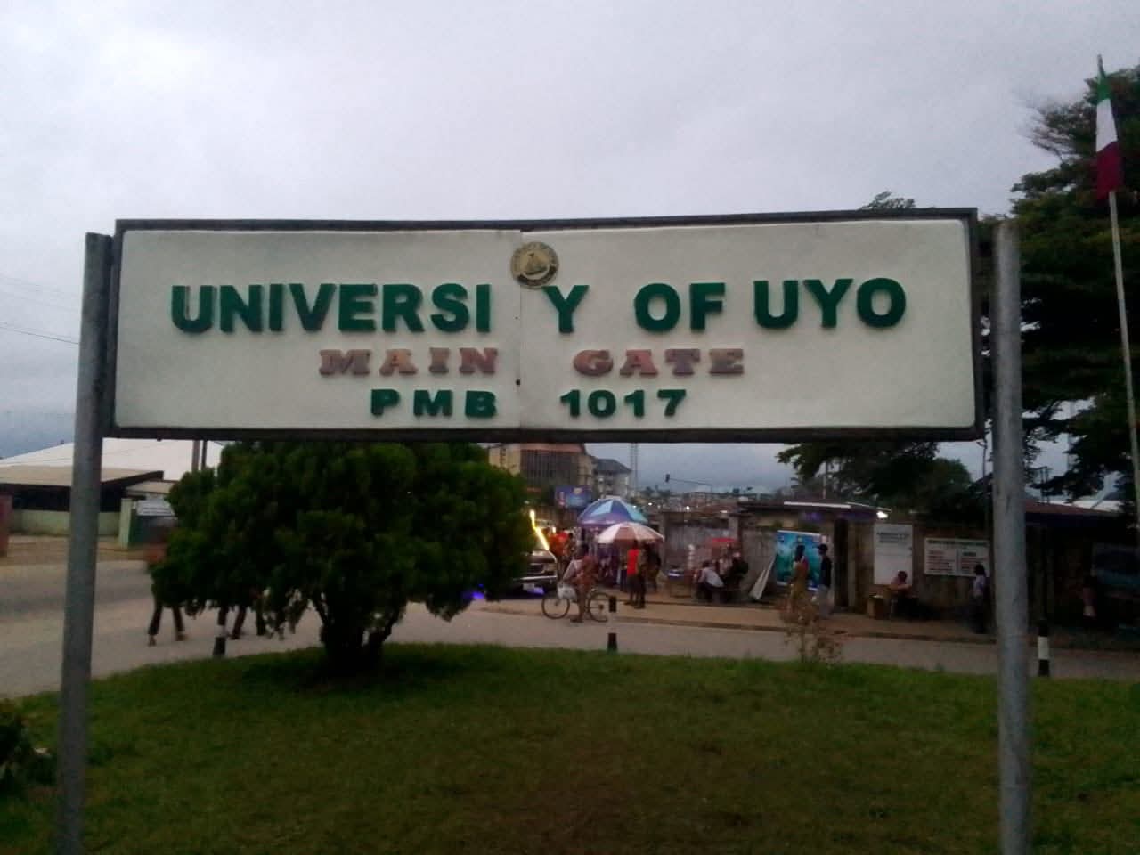 UNIUYO Alumni Boost Campus Image with Restoration of Main Gate Signage ...